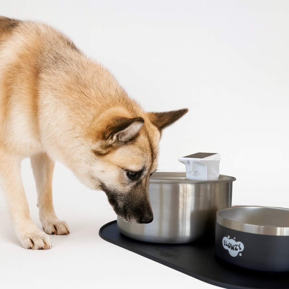 Bundle & Save – Flowzy