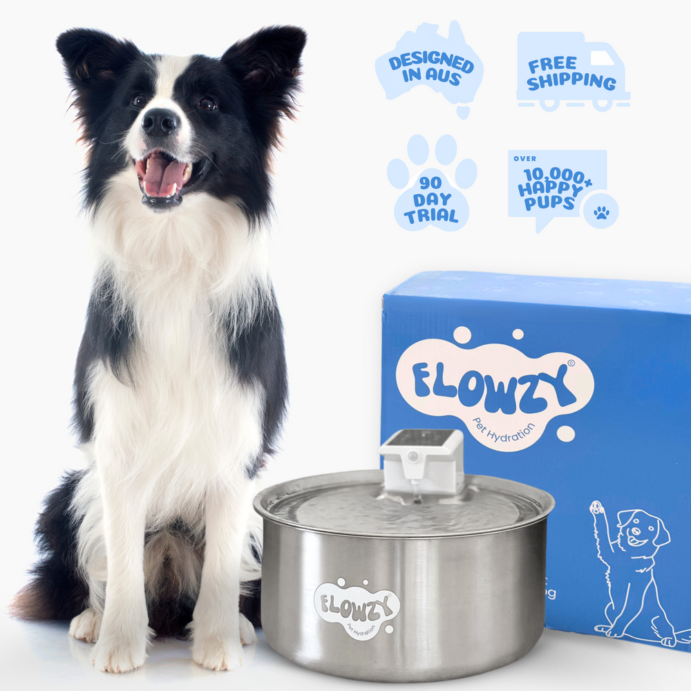 Flowzy™ Water Fountain