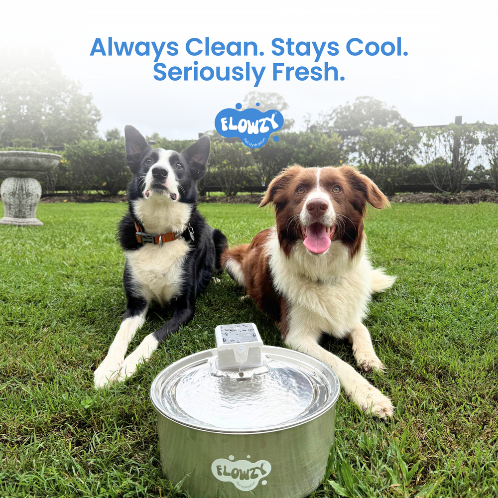 Flowzy™ Water Fountain