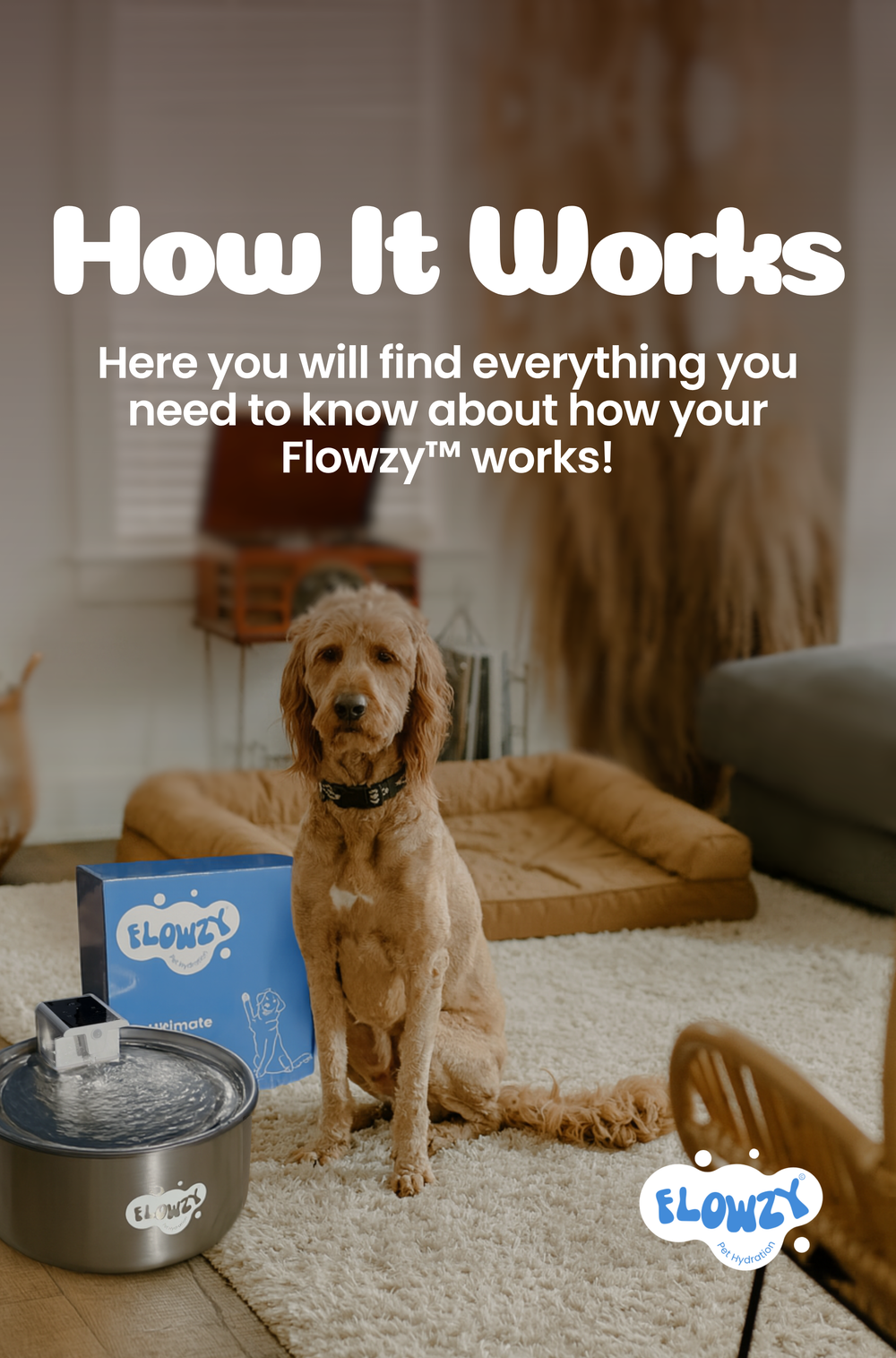How It Works – Flowzy