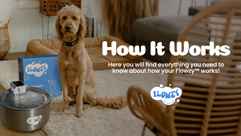 How It Works – Flowzy